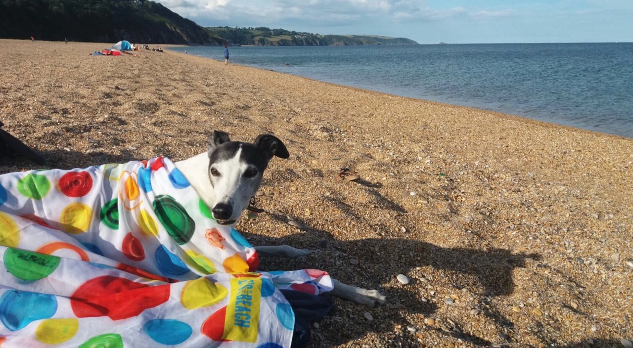 your posted pix | let's go to the beach